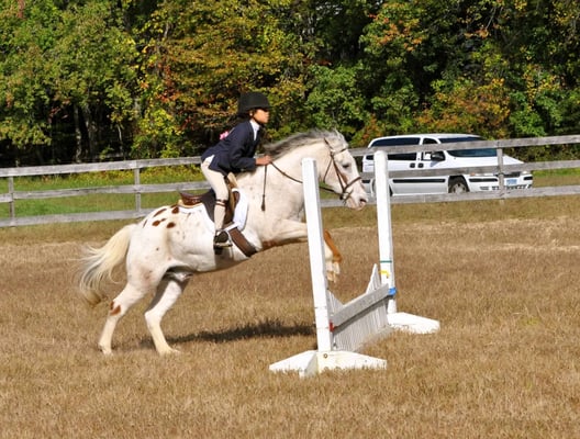 MERKEL FARM EQUESTRIAN CENTER - Updated December 2025 - 16 Photos ...