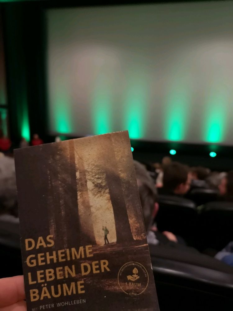 CINEPLEX AACHEN - 25 Reviews - Borngasse 30, Aachen, Nordrhein ...