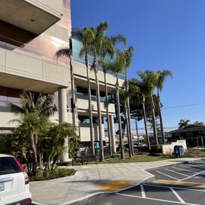 ROSE EAPEN, MD - Updated December 2025 - 12 Reviews - 20911 Earl St ...