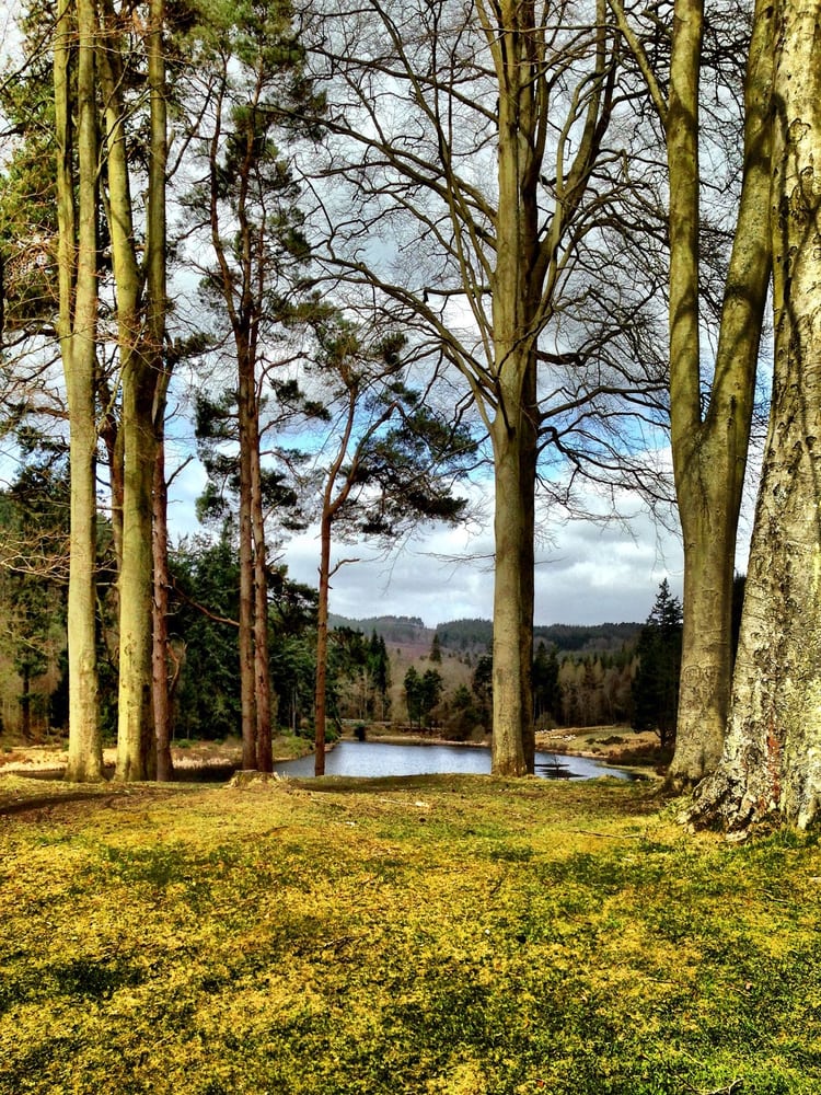 CRAGSIDE HOUSE & GARDENS - Updated August 2024 - 12 Reviews - Morpeth ...