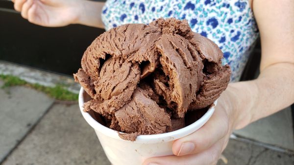 NELLIE’S ICE CREAM - Updated July 2024 - 101 Photos & 46 Reviews - 2034 ...