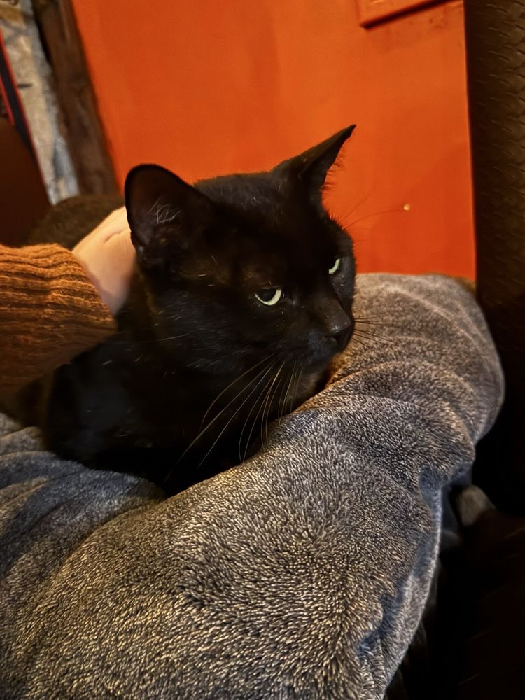 ALI MAMA CAFE - Updated January 2025 - 101 Photos & 167 Reviews - 3229 ...