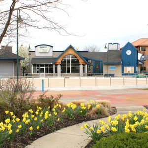 YMCA CAMP EBERHART - Updated April 2025 - 39 Photos - 10481 Camp ...