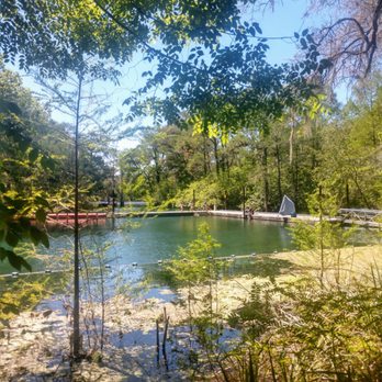 FANNING SPRINGS STATE PARK - Updated December 2025 - 133 Photos & 26 ...