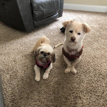 DICKSON ANIMAL CLINIC - Updated December 2025 - 29 Photos & 19 Reviews ...