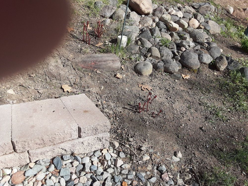 TURF TECHNOLOGIES - Updated November 2025 - 11 Photos & 22 Reviews - 77 ...