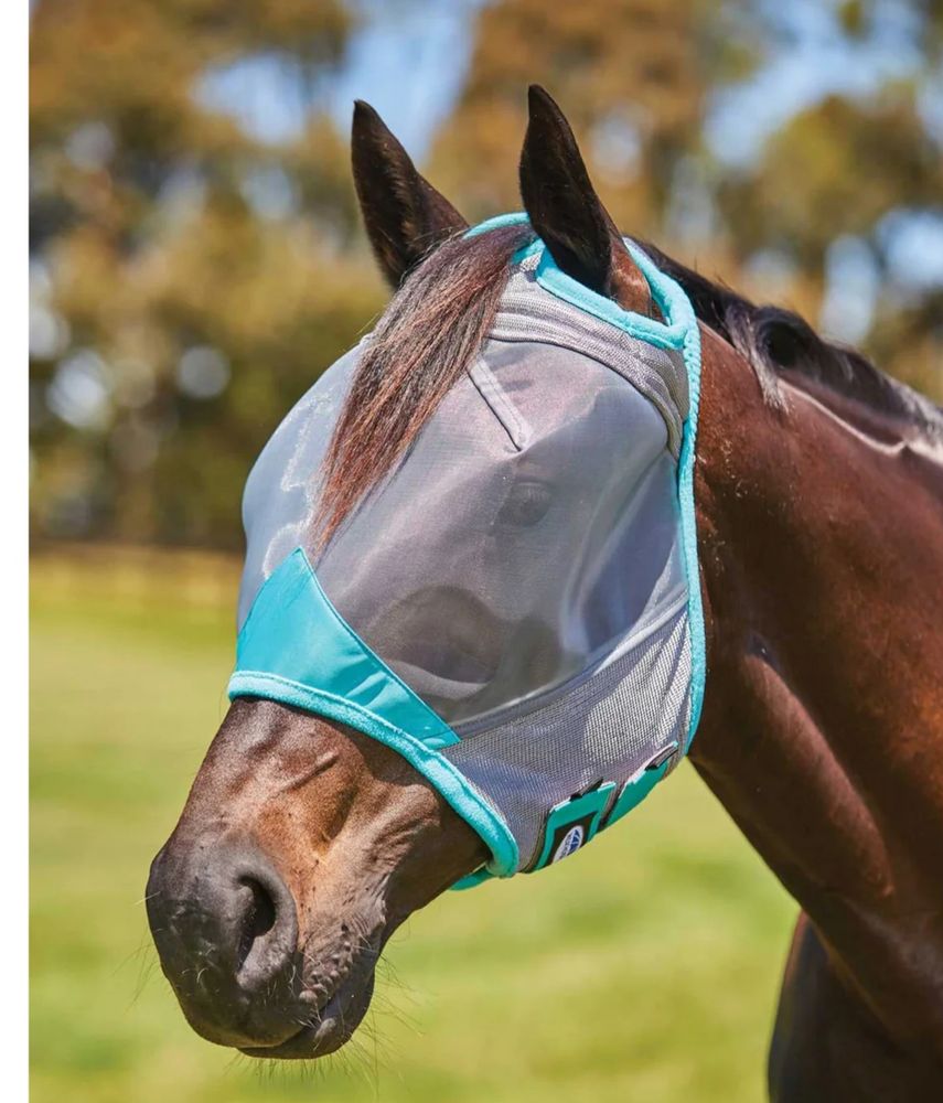 THE EQUINE SHOPPE - Updated August 2025 - 59 Photos - 26129 United Rd ...