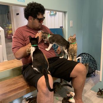 TOE BEANS AND DREAMS ADOPTION CAFE - Updated January 2025 - 166 Photos ...