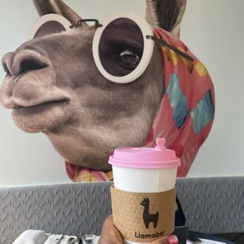 LLAMABAR - Updated August 2025 - 90 Photos & 38 Reviews - 1 M St SE ...