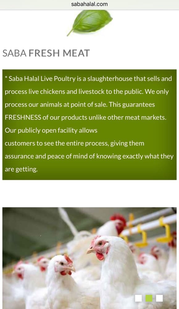 SIMPLE JIMBO - Web Design - 748 Dudley St, Boston, MA - Phone Number - Yelp