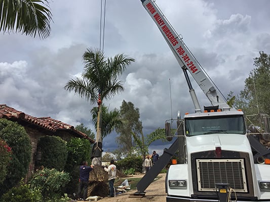 MOON VALLEY NURSERIES - 610 Photos & 654 Reviews - 26334 Mesa Rock Rd ...