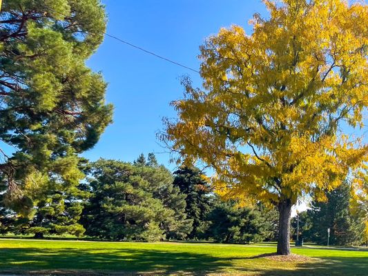 FRED THOMAS PARK - Updated November 2025 - 19 Photos - 7401 E 26th Ave ...