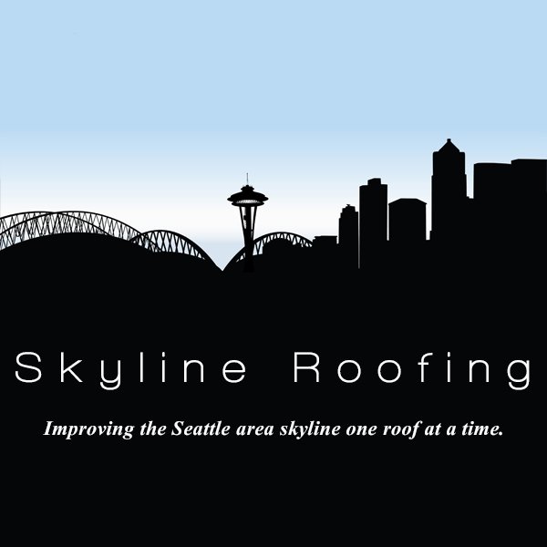 SKYLINE ROOFING - Updated December 2025 - 17 Photos & 36 Reviews ...