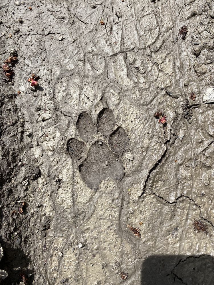 26 MILE NATURE PRESERVE - Updated September 2024 - 33 Photos - 22200 26 ...