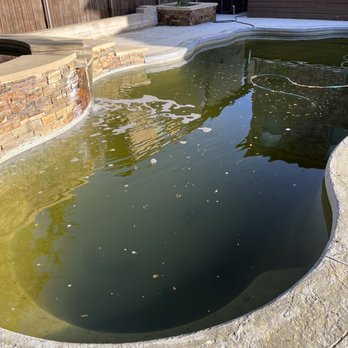 BLUE SCIENCE POOLS - Updated June 2024 - 35 Photos & 91 Reviews - 5733 ...