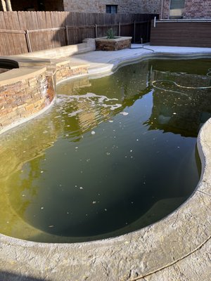 BLUE SCIENCE POOLS - Updated December 2025 - 40 Photos & 112 Reviews ...