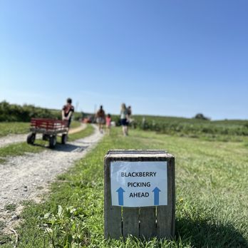 SHAW ORCHARDS - Updated October 2025 - 29 Photos & 16 Reviews - 5594 ...