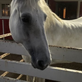 PURINA FARMS - Updated August 2024 - 140 Photos & 50 Reviews - 500 ...