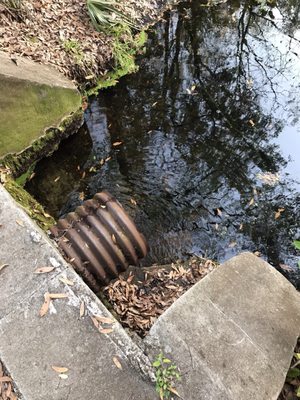 ROWLETT PARK - 40 Photos - Parks - 2401 E Yukon St, Tampa, FL - Phone ...