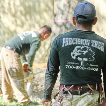 PRECISION TREE SERVICES - Updated December 2025 - 21 Reviews - Virginia ...