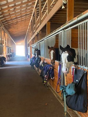 THE STABLES AT WULF CREST FARM - Updated June 2026 - 19876 Riders ...