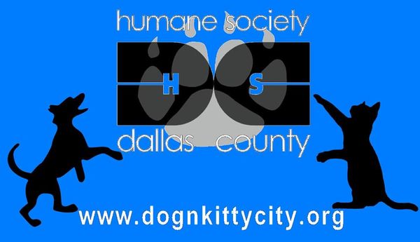 HUMANE SOCIETY OF DALLAS COUNTY - DOG & KITTY CITY - Updated January ...