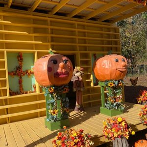 SKITTS MOUNTAIN FARMS - Updated October 2025 - 44 Photos - 7883 GA-254 ...