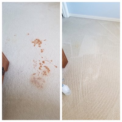 CLEAN MASTER CARPET CLEANING - Updated November 2024 - 120 Photos & 184 ...