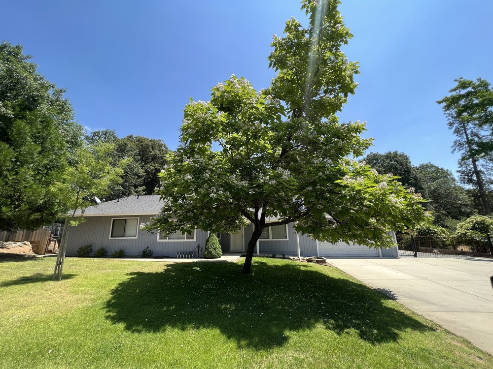 LYDIA VASS - VASS HAÜS REAL ESTATE - Updated June 2025 - 18752 Joaquin ...