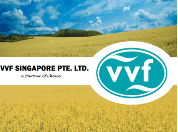 VVF SINGAPORE - 133 Cecil St, Singapore, Singapore - Local Services ...