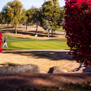 DOBSON RANCH GOLF COURSE - Updated August 2025 - 54 Photos & 158 ...