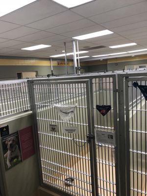 OREGON HUMANE SOCIETY - 133 Photos & 197 Reviews - Animal Shelters ...