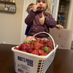 MCLEOD FARMS ROADSIDE MARKET - Updated October 2025 - 101 Photos & 58 Reviews - 29247 Hwy 151 ...