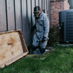 BOGGS INSPECTION SERVICES - 19 Photos & 91 Reviews - 975 Carpenter Rd ...