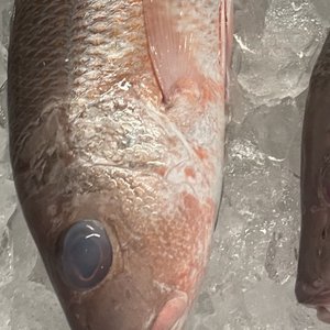 DISCO FISH RESTAURANT & GRILL - 188 Photos & 107 Reviews - Seafood ...