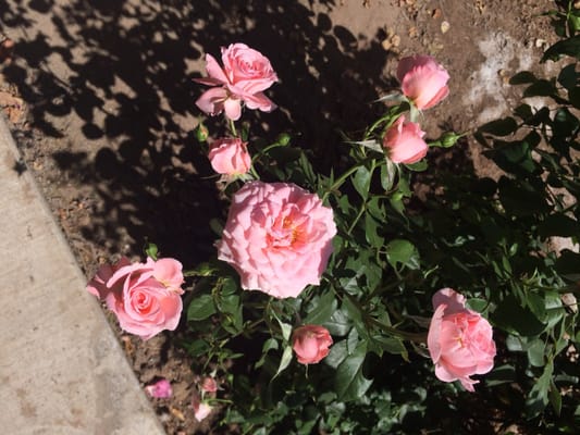 GLENDALE COMMUNITY COLLEGE - Updated December 2025 - 41 Photos & 44 ...