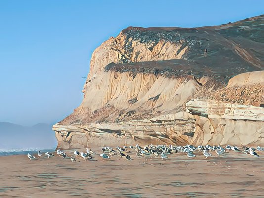 SAN GREGORIO STATE BEACH - 384 Photos & 93 Reviews - La Honda Rd ...