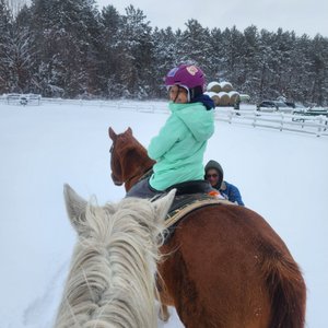 MAPLE RIDGE STABLES - 15 Photos - 8097 Sunshine Trl, Vanderbilt ...