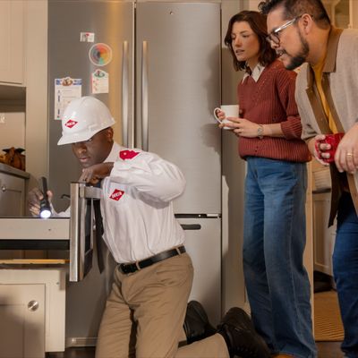 ORKIN - Updated October 2025 - Request a Quote - 17 Photos - 640 ...