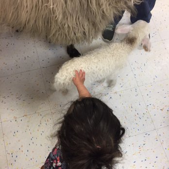 ADA COMMUNITY LIBRARY - Updated June 2025 - 10664 West Victory Rd ...