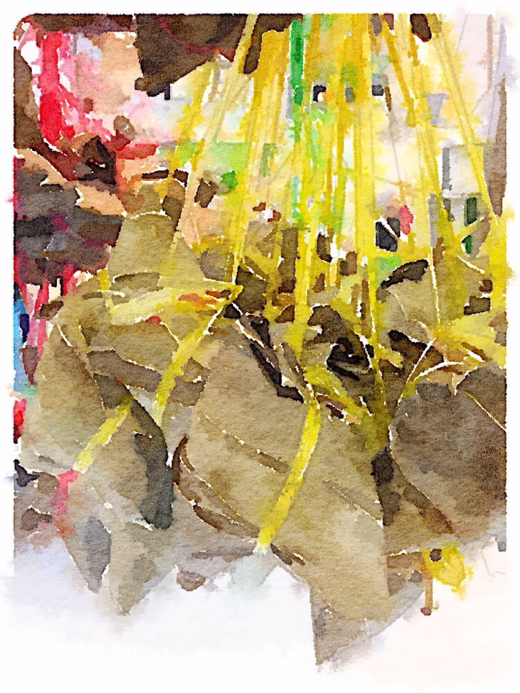 EASTERN RICE DUMPLING - 3155 Commonwealth Avenue West, Singapore ...