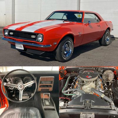 BASIL CLASSICS - Updated January 2026 - 11 Photos - 5071 Transit Rd ...