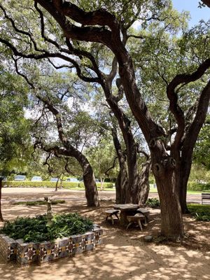 LANDA BRANCH LIBRARY - Updated October 2025 - 61 Photos & 61 Reviews ...