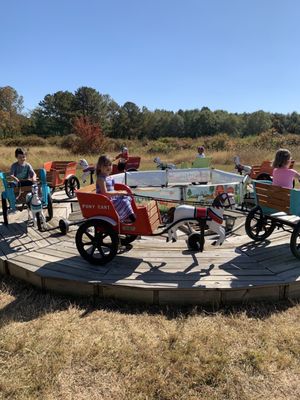 BERRY PATCH FARMS - Updated October 2025 - 25 Photos & 45 Reviews - 786 ...