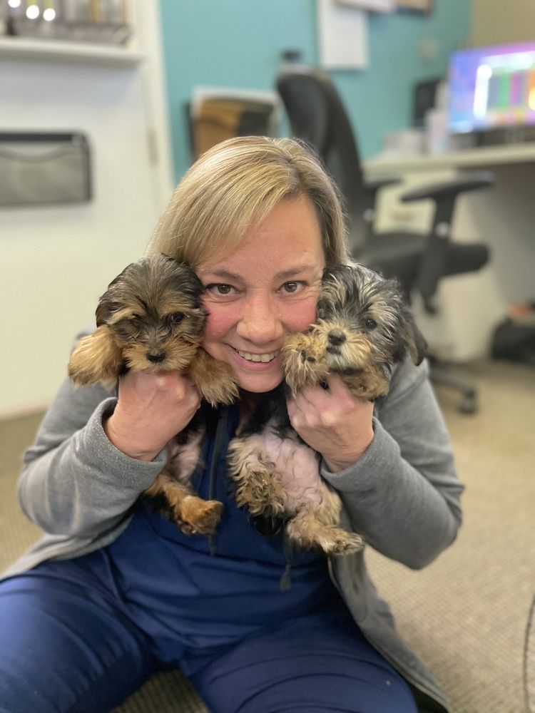 PATTERSON VETERINARY HOSPITAL - Updated October 2025 - 12 Photos & 53 ...