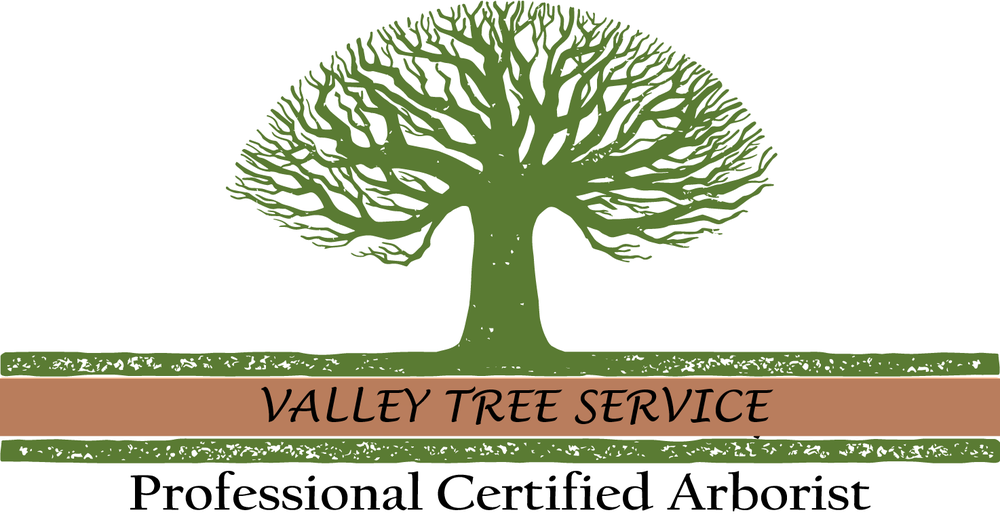 VALLEY TREE SERVICE - Updated December 2025 - 37 Photos & 38 Reviews ...