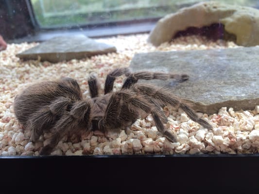 HOMEWOOD PUBLIC LIBRARY - Updated September 2025 - 23 Photos & 10 ...