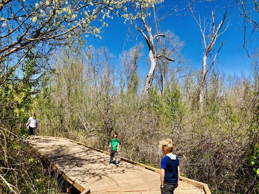 STEPHEN F AUSTIN STATE PARK - Updated March 2025 - 85 Photos & 38 ...