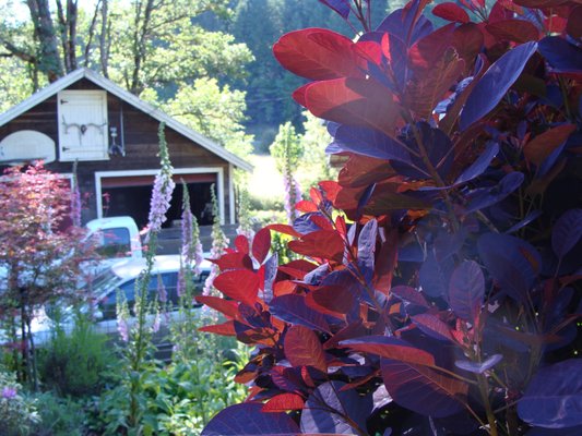 EARTHWORKS LANDSCAPE AND DESIGN - Updated November 2025 - 14 Photos ...