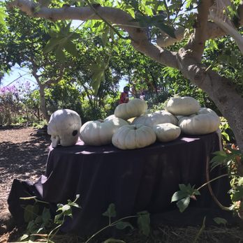 CRYSTAL BAY FARM - Updated June 2025 - 154 Photos & 74 Reviews - 40 ...